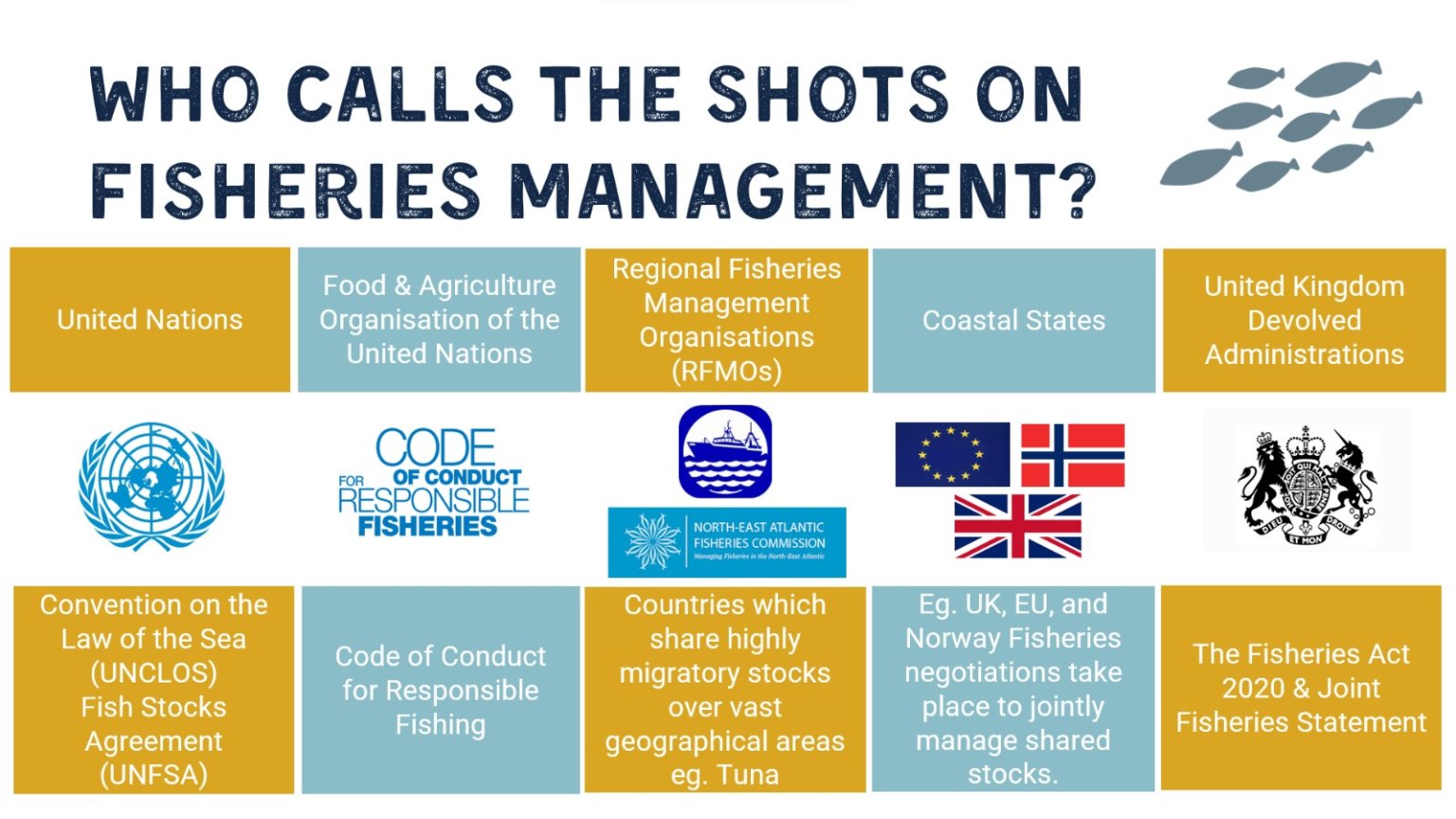 Who calls the shots on fisheries management? - The Fishing Porthole