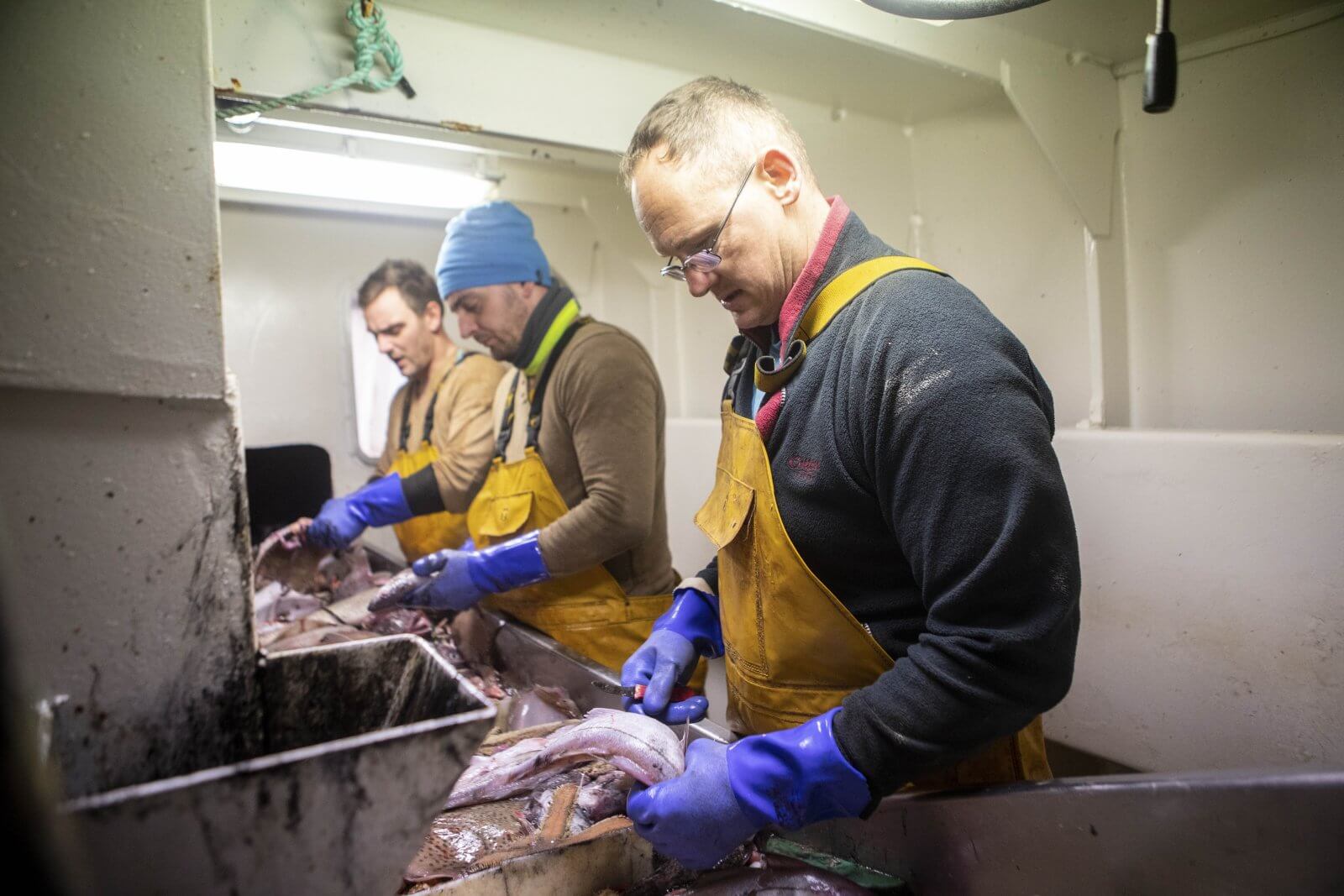 Remote Electronic Monitoring (REM) - The Fishing Porthole