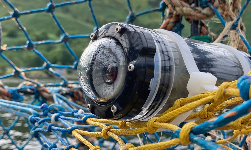 Preventing Bycatch with Lights - The Fishing Porthole