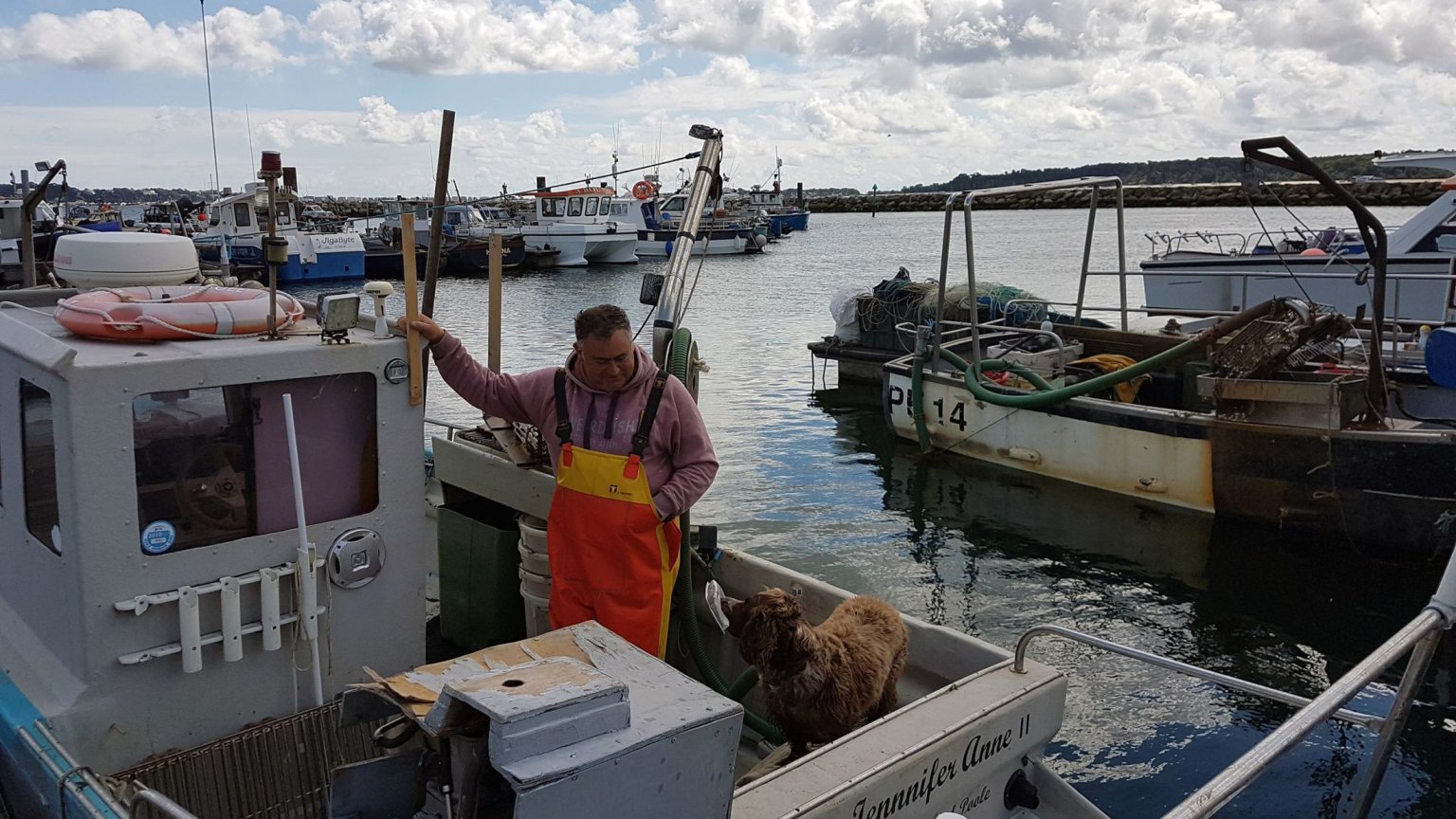 Certification of the Poole Clam & Cockle Fishery % - The Fishing Porthole